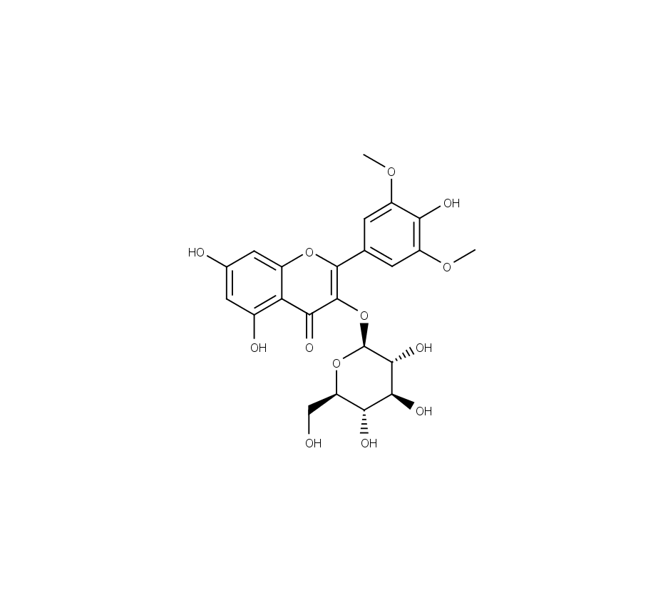 Syringetin-3-O-glucoside 1245 S, CAS 40039-49-4 - Flavonol - Extrasynthese